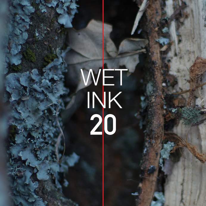 Wet Ink 20: A Celebration of Creativity and Collaboration (Carrier Records)