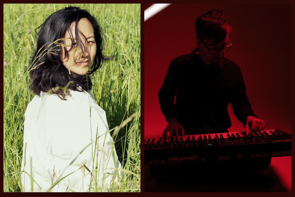 Video Premiere: "Iron Orchid" by Ning Yu and David Bird